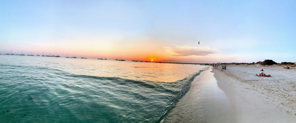 Campos Mallorca: 8 Must-See Attractions – Dive into Tradition!